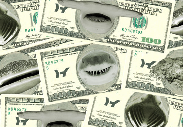 Limited Edition Shark Bill Slydr Pro – The Hype Company